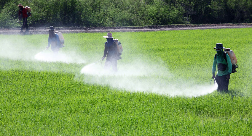 Pesticide și Parkinson: un studiu identifică zece substanțe implicate ...